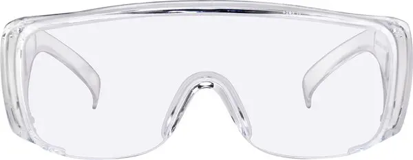 Zenni Protective Glasses / Goggles - Translucent