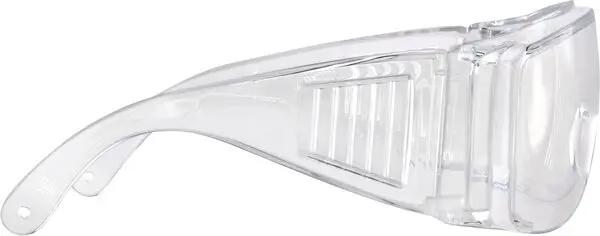 Zenni Protective Glasses / Goggles - Translucent