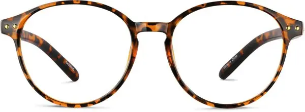 Zenni Round Frame With Snap-on Sunlens - Tortoiseshell