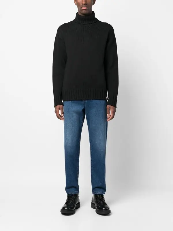 Rossignol Over Turtleneck Sweater