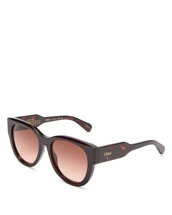 Chloé Gayia Cat Eye Sunglasses 55mm - Brown/pink Gradient