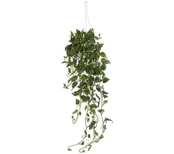 NEARLY NATURAL Pothos Hanging Artificial Plant By