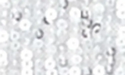 Endless Rose Sequin Midi Skirt - Silver