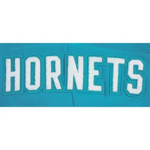 PRO STANDARD Charlotte Hornets 2023/24 City Edition Cropped Pullover Hoodie