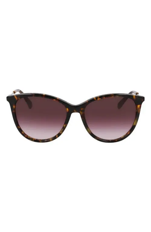 Longchamp 55mm Gradient Sunglasses - Dark Havana