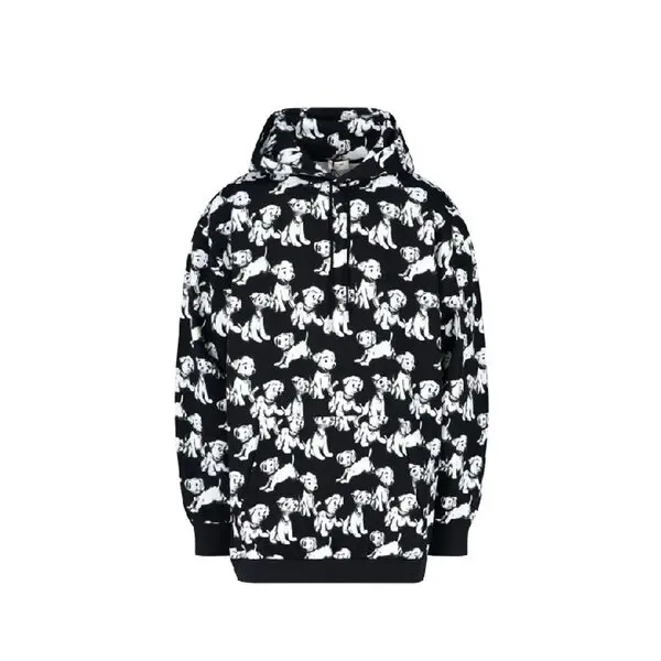 Celine Printed Hooded Sweatshirt