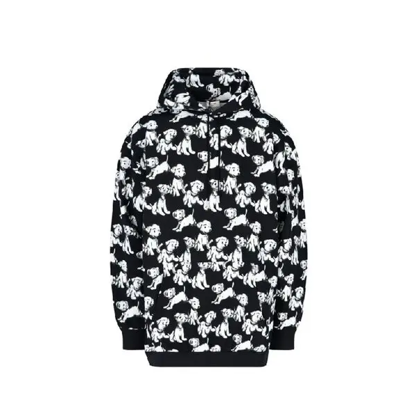 Celine Printed Hooded Sweatshirt