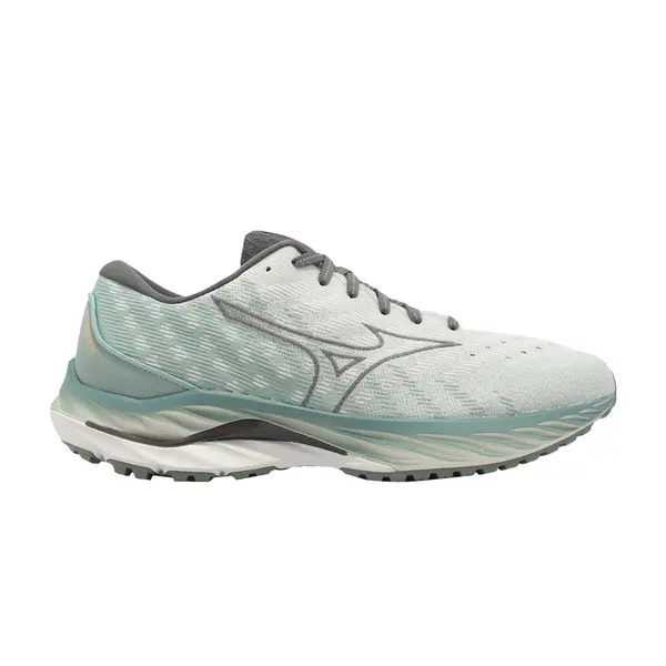 Mizuno Wave Inspire 19 Ssw - Blue