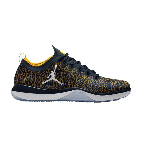 JORDAN Trainer 1 Low 'michigan' Sneakers