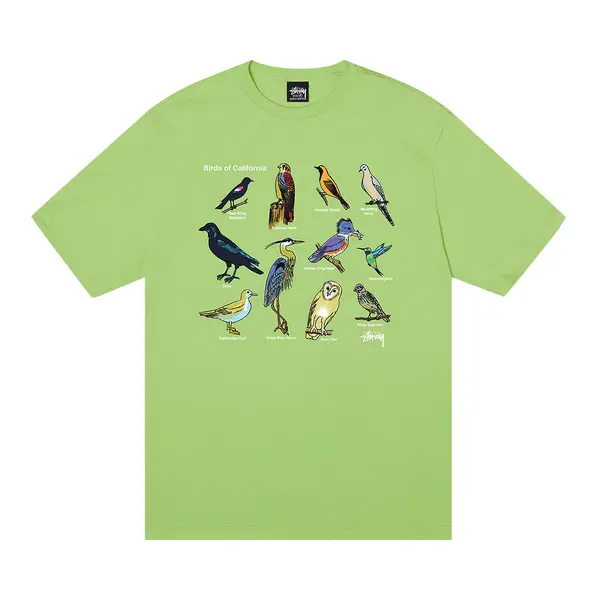 StÜssy California Birds Tee 'tea - Green