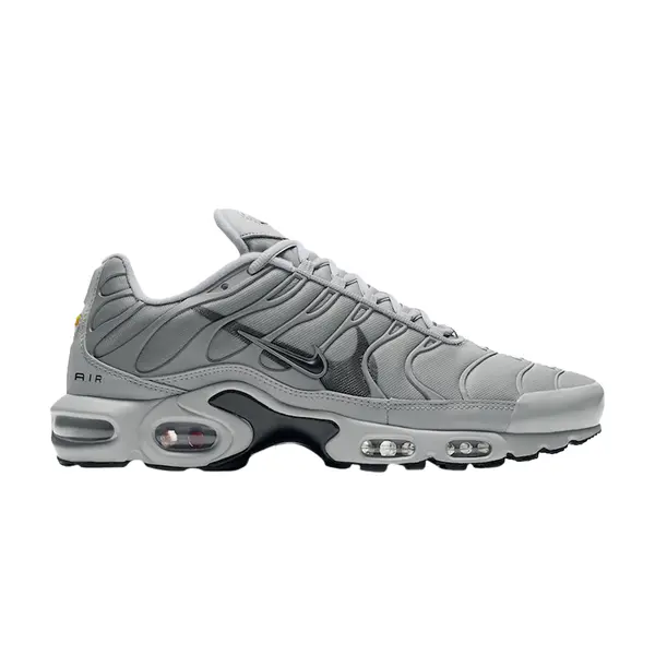 Nike Air Max Plus 3m Sneakers - Grey