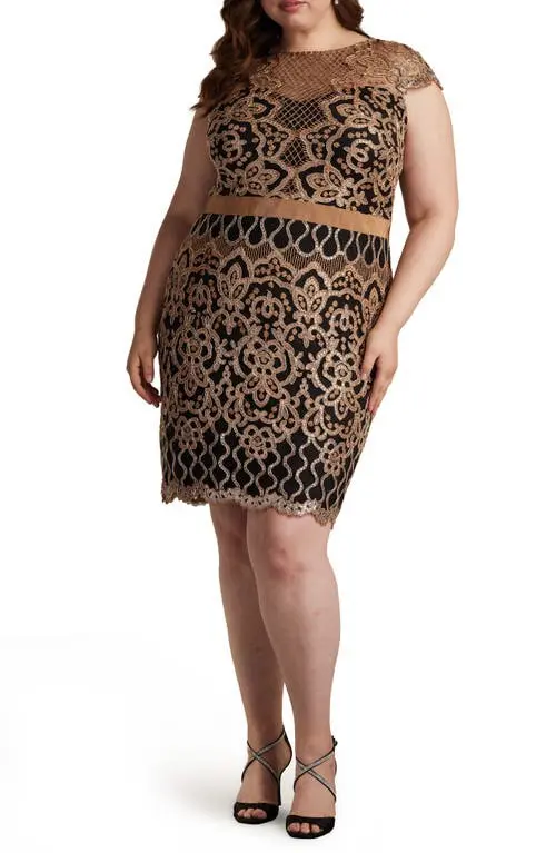 Tadashi Shoji Lace Line Dress Cocktail Dresses | Editorialist
