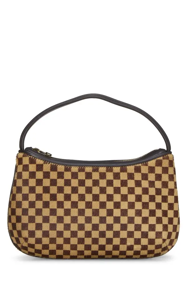 LOUIS VUITTON Damier Sauvage Tiger Pochette - Brown