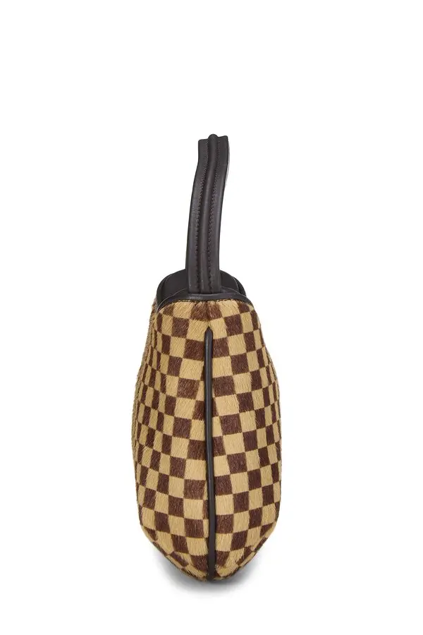 LOUIS VUITTON Damier Sauvage Tiger Pochette