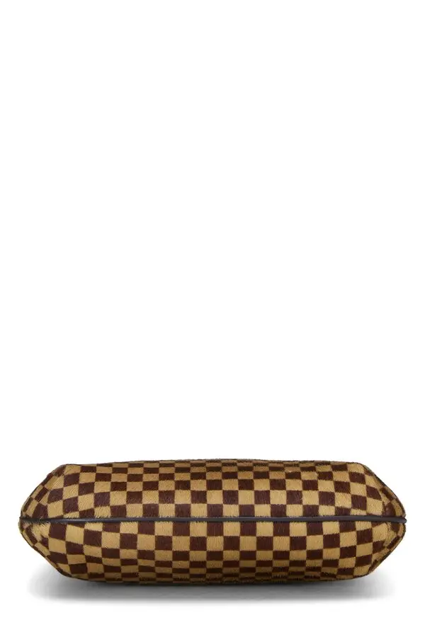 LOUIS VUITTON Damier Sauvage Tiger Pochette