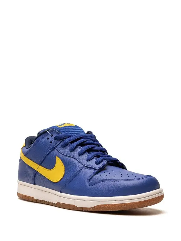 Nike Dunk Low Pro Sb Sneakers