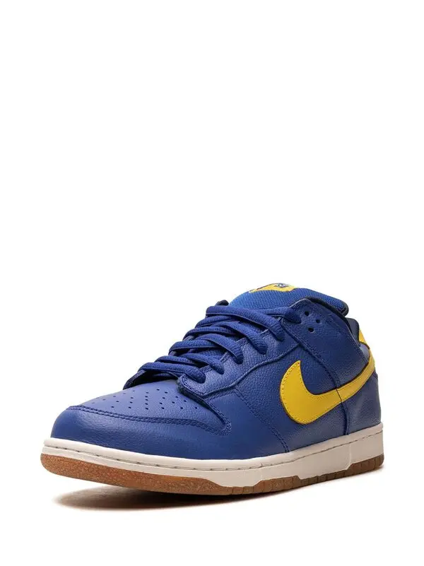 Nike Dunk Low Pro Sb Sneakers