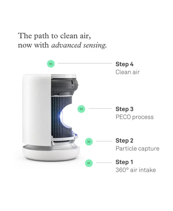 MOLEKULE Peco-hepa Tri-powered Filter For Air Mini And Air Mini