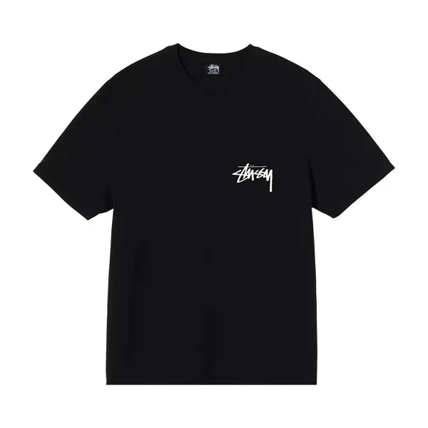 StÜssy Painter Pigment Dyed Tee