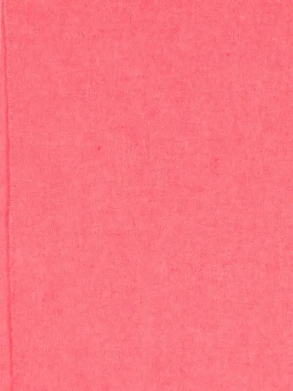 Acne Studios Logo-tag Wool Scarf - Pink