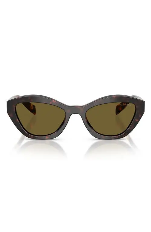 Prada 52mm Butterfly Sunglasses - Root Tortoise/dark Brown