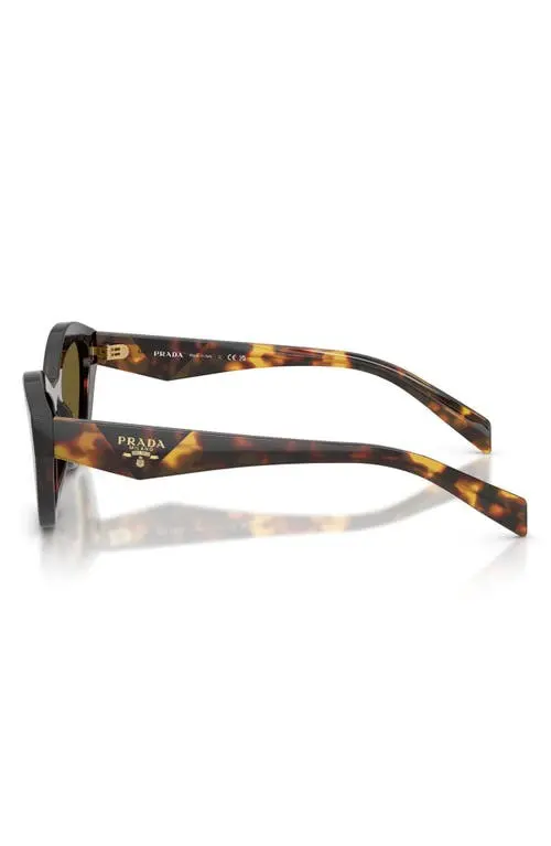 Prada 52mm Butterfly Sunglasses - Root Tortoise/dark Brown