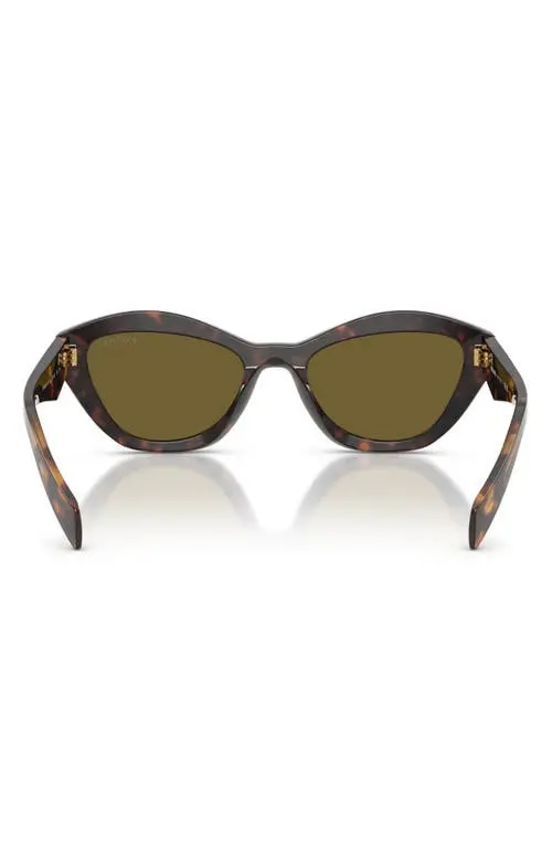 Prada 52mm Butterfly Sunglasses - Root Tortoise/dark Brown