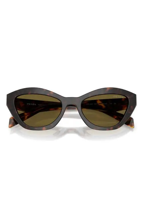 Prada 52mm Butterfly Sunglasses - Root Tortoise/dark Brown