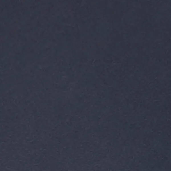 Loewe Debossed Logo Card Holder
