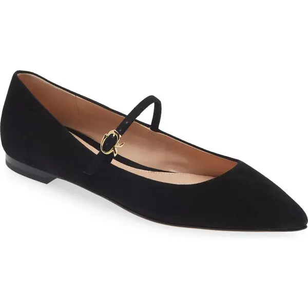 GIANVITO ROSSI Ribbon Pointed Toe Mary Jane Ballet Flat - Black