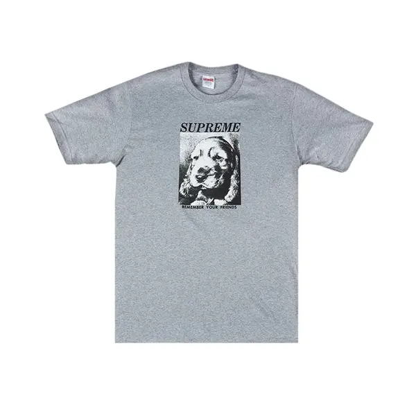 Supreme Remember T-shirt - Grey