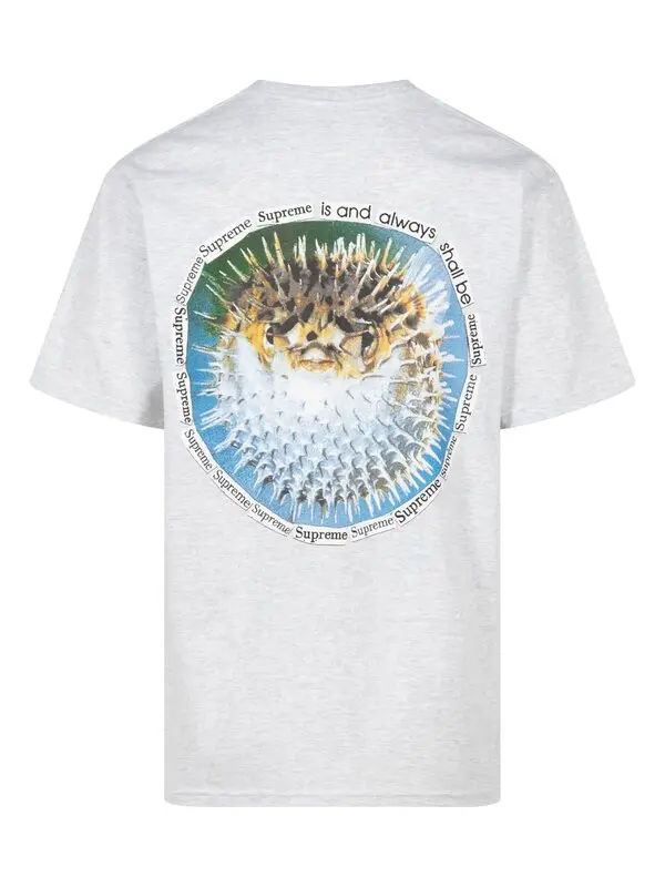 Supreme Blowfish T-shirt - Grey