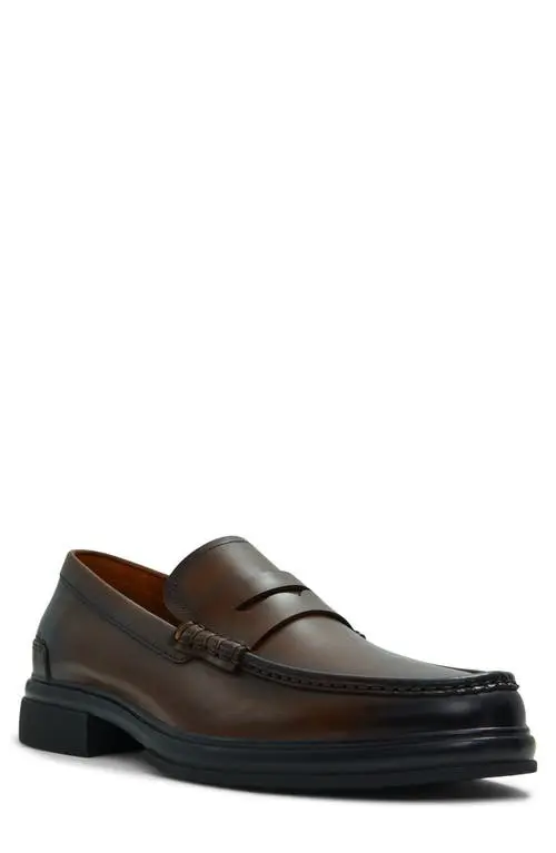 Aldo Tucker Penny Loafer - Other Brown