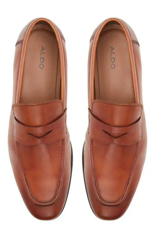 Aldo Wakith Apron Toe Penny Loafer - Other Brown | Editorialist display picture 1