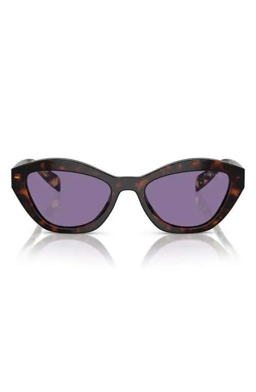 Prada 52mm Butterfly Sunglasses - Havana