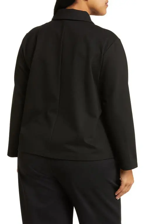 Eileen Fisher Classic Collar Zip Jacket