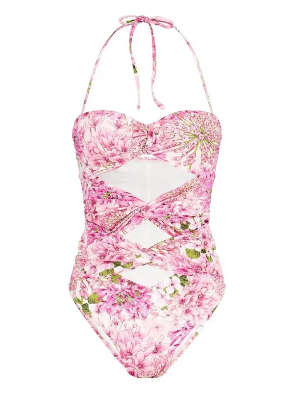 Giambattista Valli Saint-rémy Cut-out Swimsuit - Pink