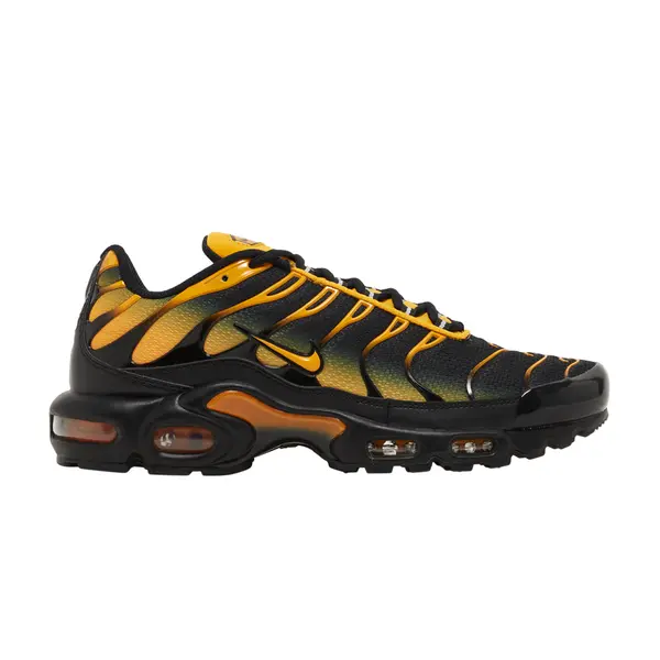 Nike Air Max Plus Sneakers - Black