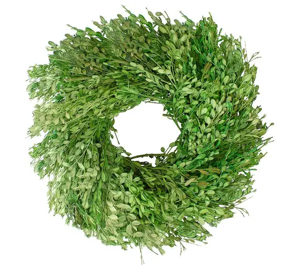 NORTHLIGHT Green Foliage Artificial Spring Wrea Th - One-color