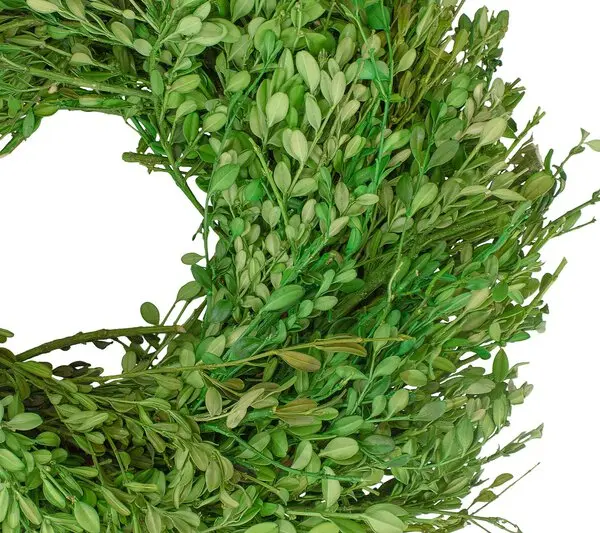 NORTHLIGHT Green Foliage Artificial Spring Wrea Th