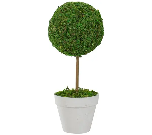NORTHLIGHT Reindeer Moss Potted Artificial Spri G Topiary Tree - One-color