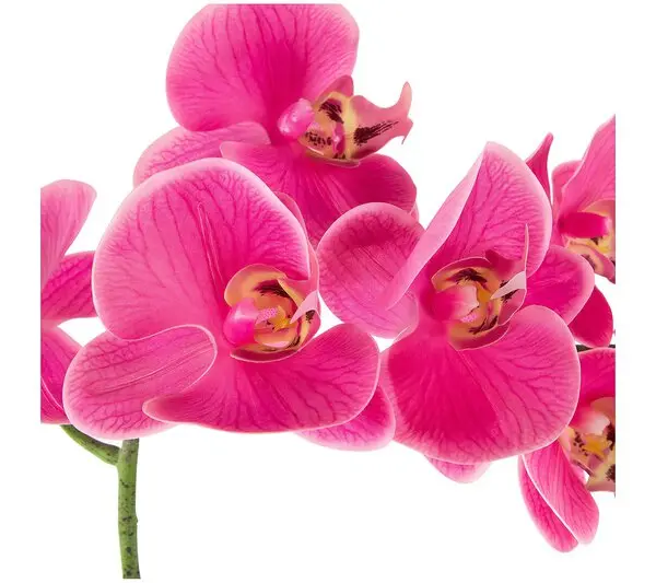 NORTHLIGHT Real Touch Pink Artificial Orchids I N Ceramic Pot