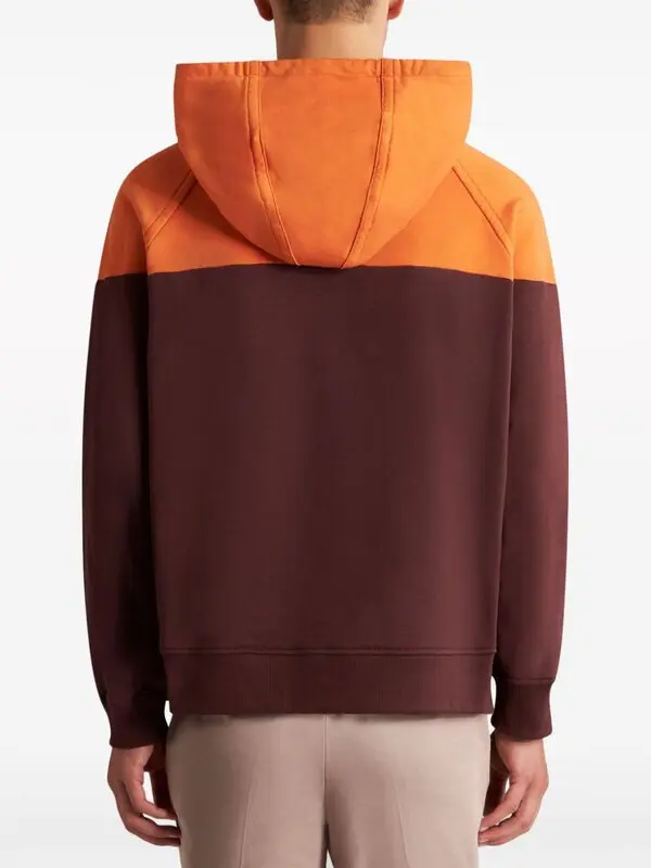 Etro Pegaso-embroidered Cotton Hoodie - Brown