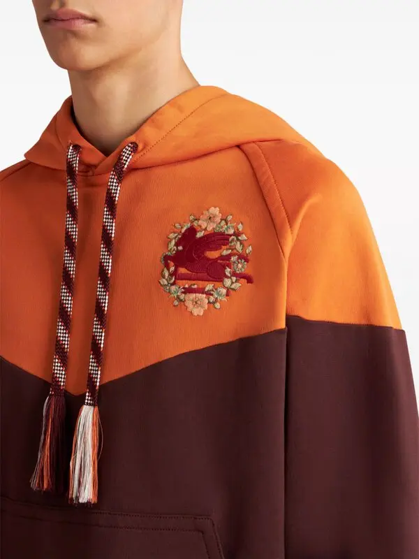Etro Pegaso-embroidered Cotton Hoodie - Brown