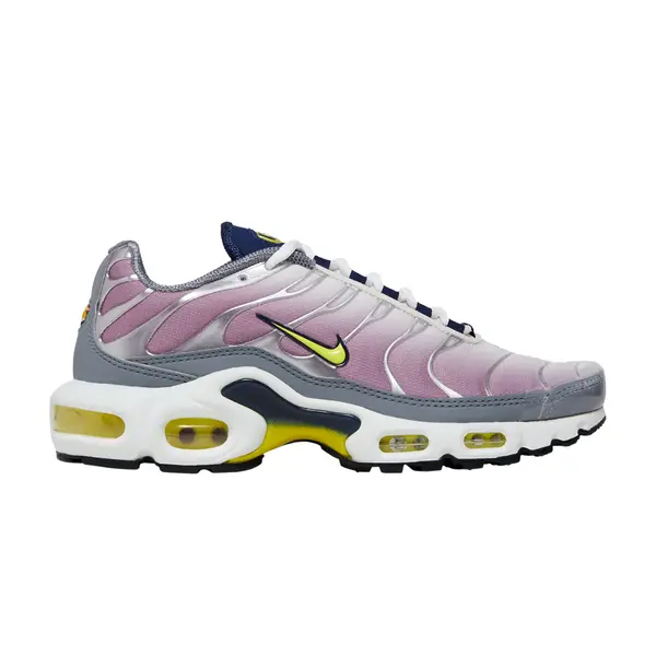 Nike Air Max Plus Sneakers - Purple