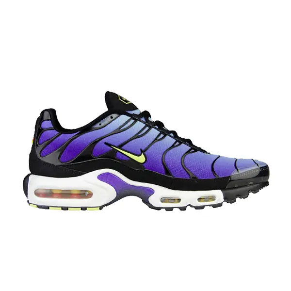 Nike Air Max Plus Sneakers - Blue