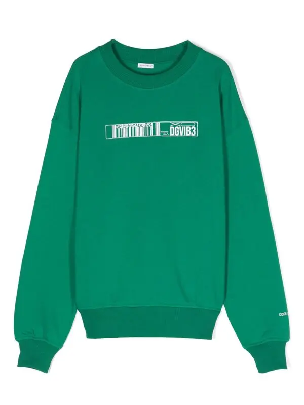 Dolce & Gabbana Dgvib3-print Cotton Sweatshirt