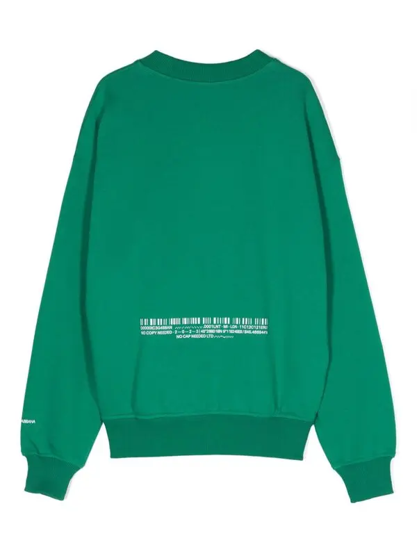 Dolce & Gabbana Dgvib3-print Cotton Sweatshirt