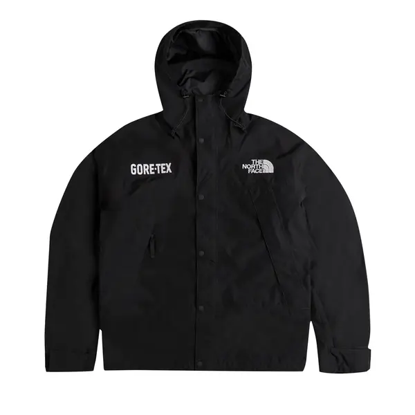 The North Face Gtx Mountain Jacket