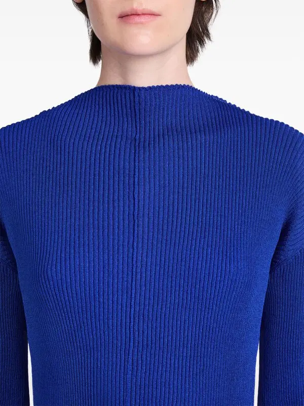 Proenza Schouler Mock-neck Ribbed Sweatshirt